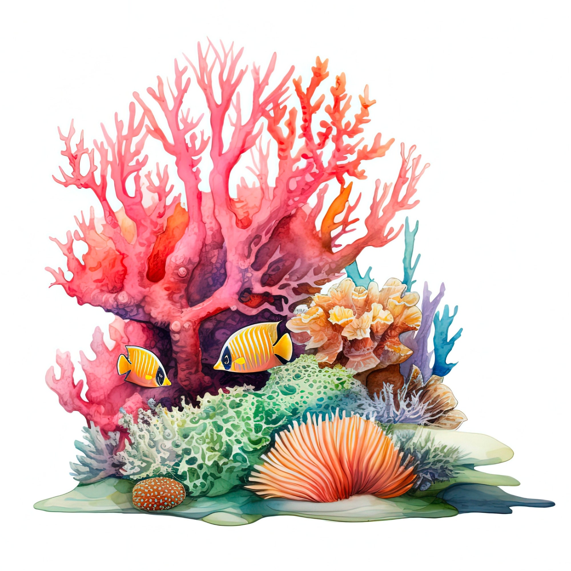 Coral Reef Clipart: Underwater Ocean Scenes, Watercolor Sea Life ...