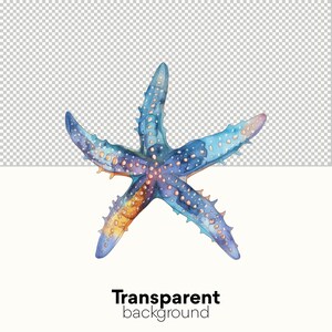 Starfish Clipart: Digital Download, Commercial Use Watercolor Starfish ...