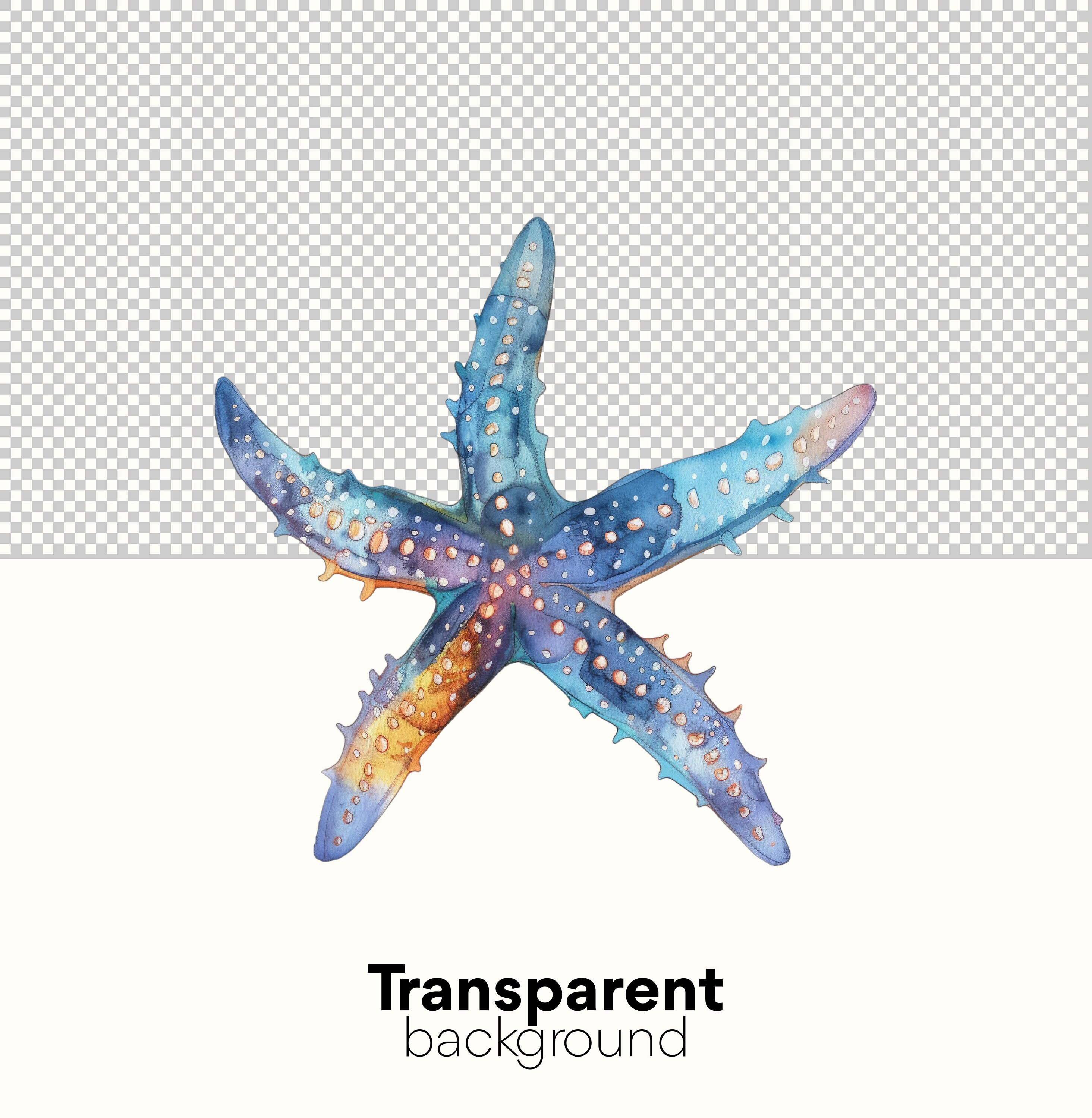 Starfish Clipart: Digital Download, Commercial Use Watercolor Starfish ...