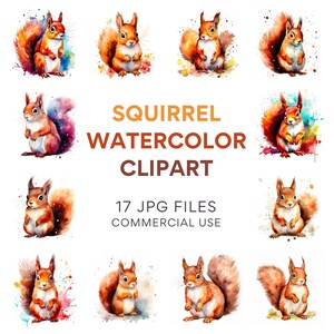 Squirrel Clipart Pack: Digital Download for Crafting, Commercial Use ...