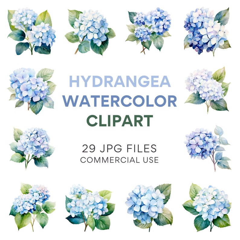 Hydrangea Clipart Bundle - Blue Hydrangea, Watercolor Flowers, Wedding ...