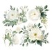 White Wedding Florals Clipart: Rustic Floral Wedding Flowers, White ...