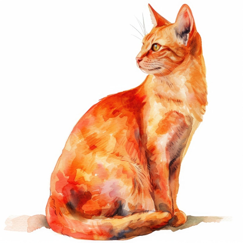 Orange Cat Clipart: Watercolor Kitten, Cat Cliparts Bundle, Commercial ...
