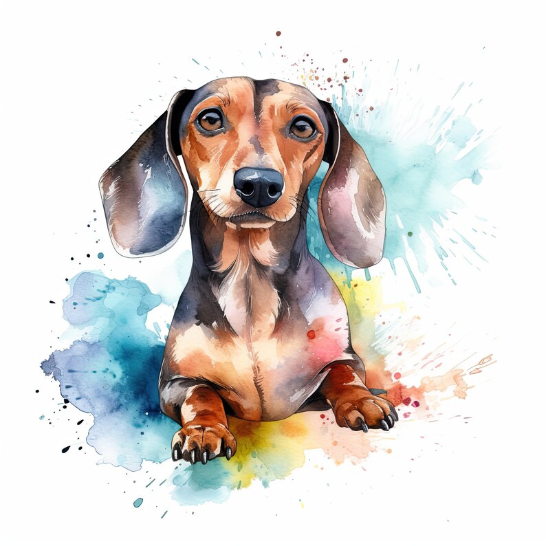 Dachshund Clip Art: Watercolor Dachshund Clipart Pack, Digital Download ...