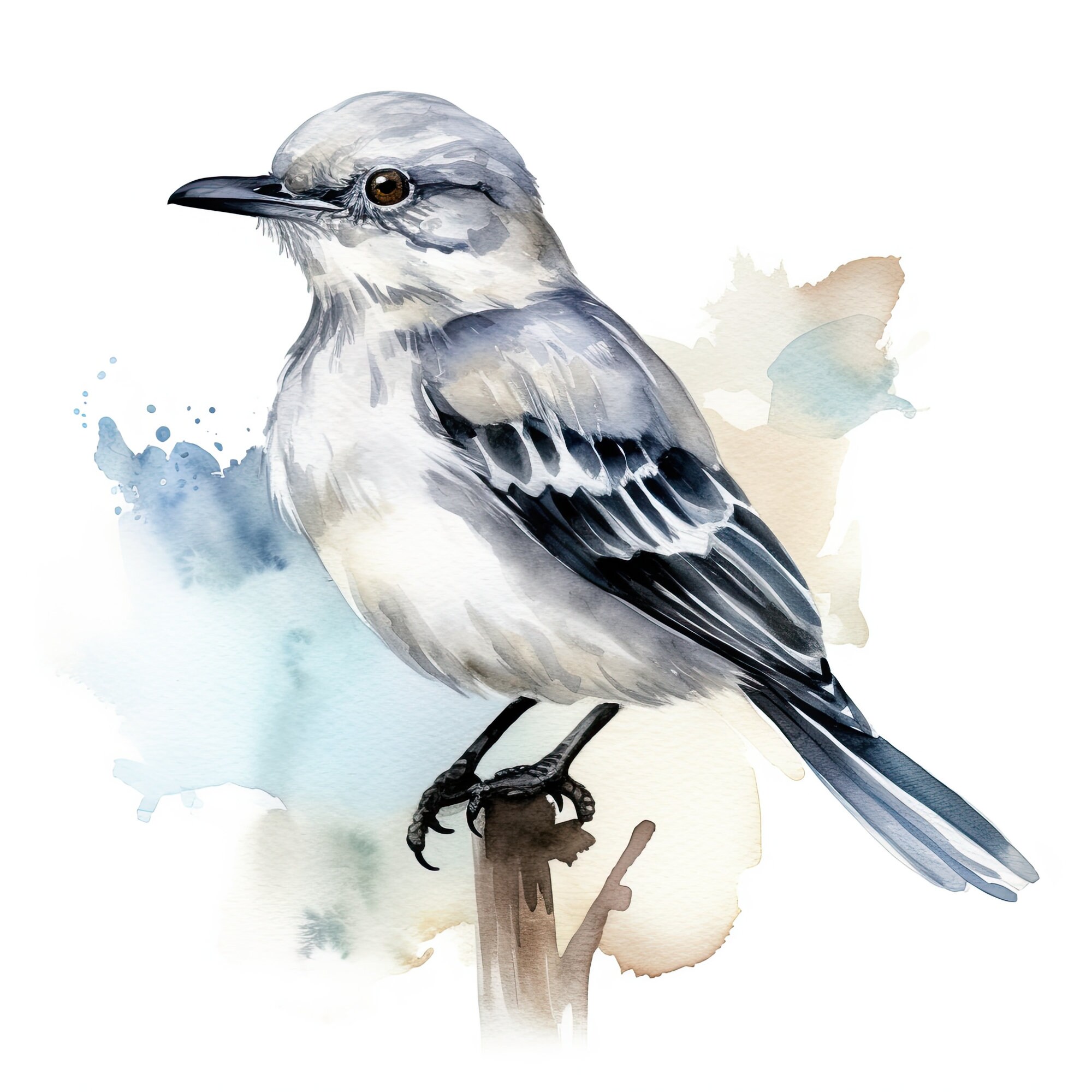 Mockingbird Clipart Pack Northern Mockingbird Clip Art, Instant ...
