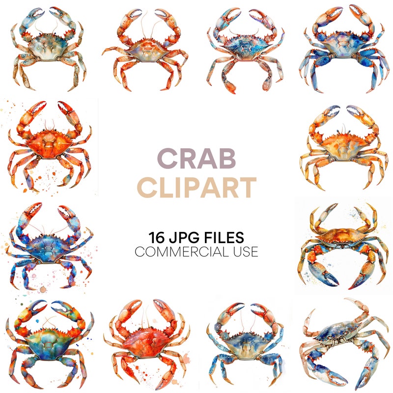 Watercolor Crab - Etsy