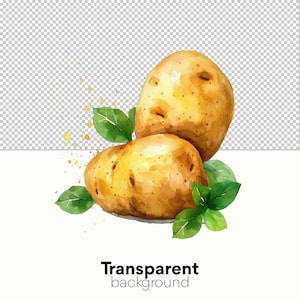Potato Clipart Pack, Commercial Use Food Clip Art, Watercolor Potato ...