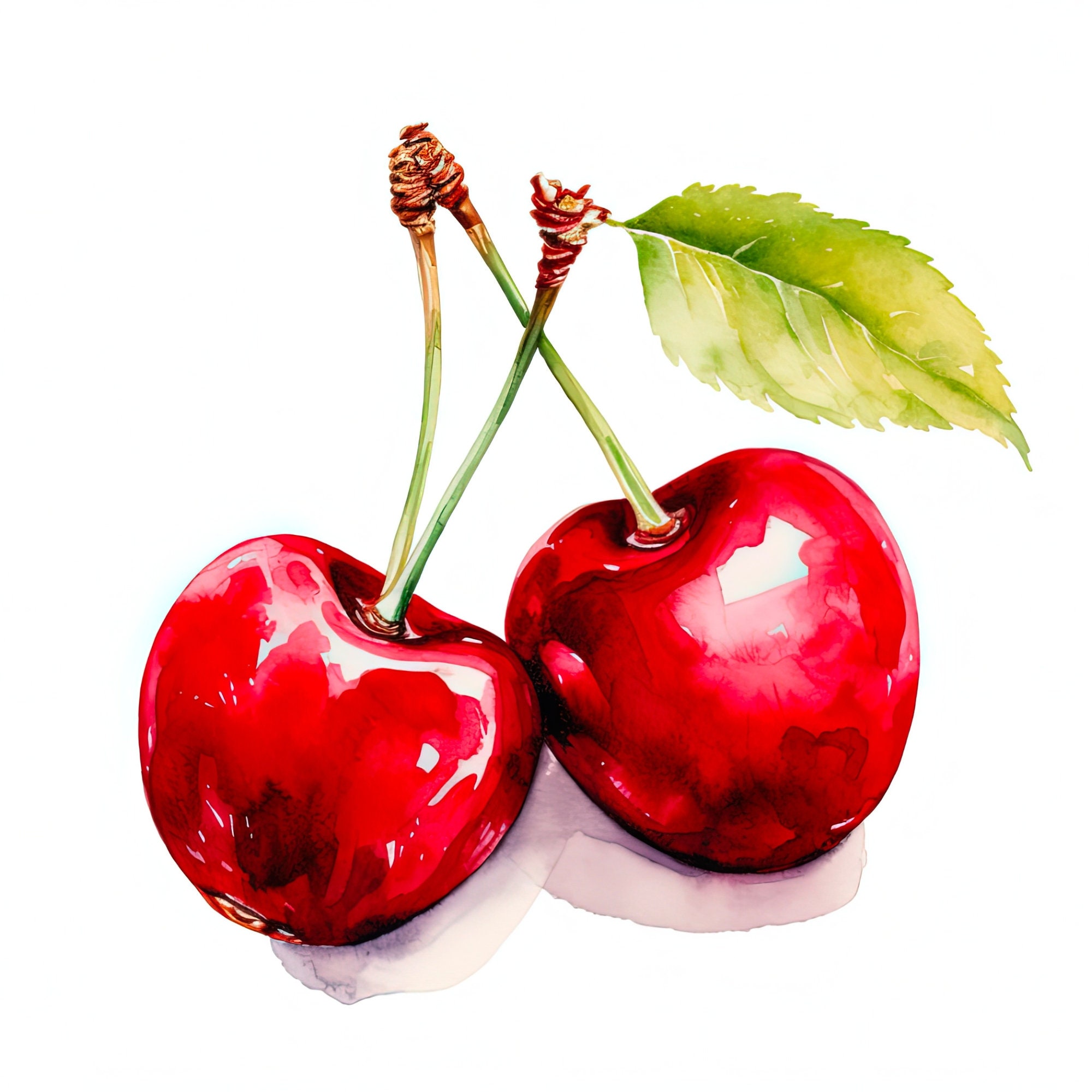 Cherry Clipart Bundle, Watercolor Cherry & Blossom, Digital Download ...