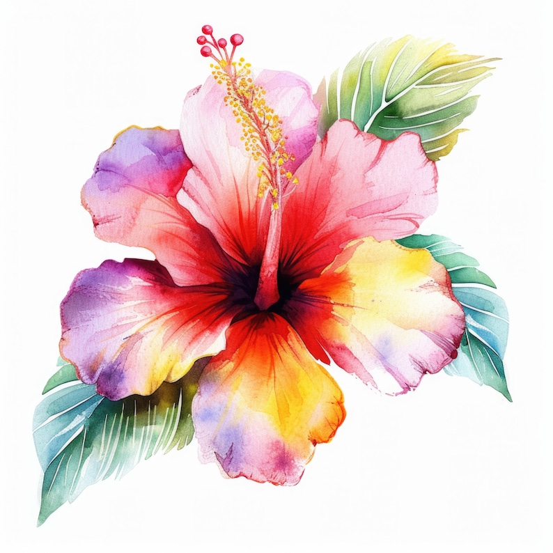 Hawaiian Flower Clipart: Hibiscus Graphics, Luau & Summer Tropical Art ...