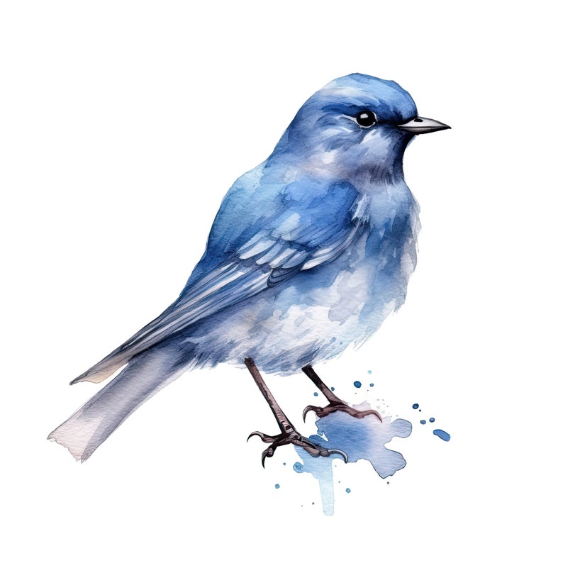 Blue Bird Clip Art, Digital Download, Watercolor Painting, Clipart Pack ...