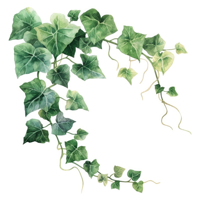 Ivy Clip Art Digital Download: Watercolor Ivy Vines Greenery Clipart ...