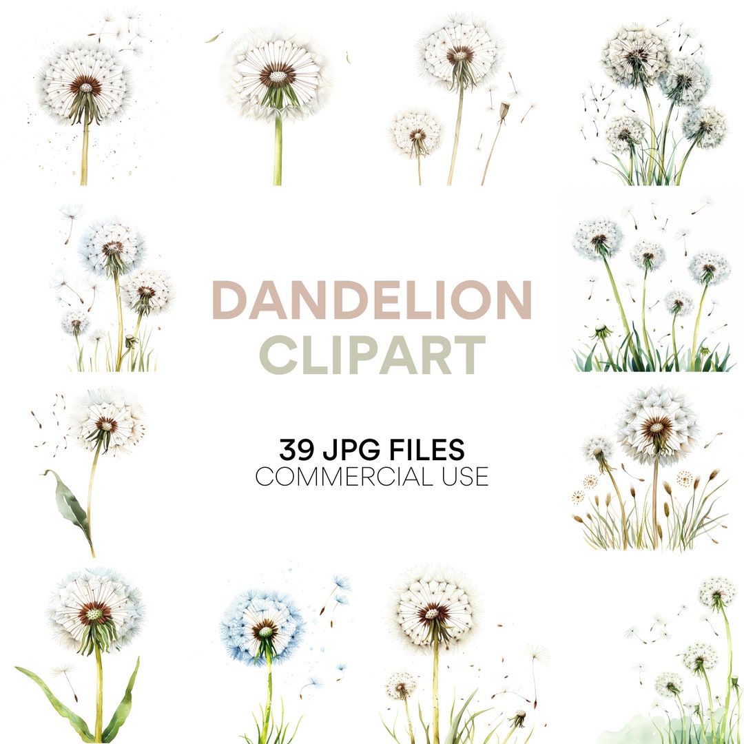 Dandelion Clipart - Watercolor Dandelion Digital Download in JPG ...
