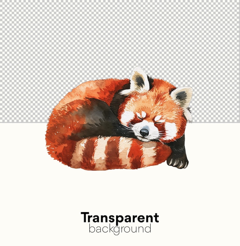 Red Panda Clip Art: Cute Animal Clipart Bundle for Digital Crafting ...