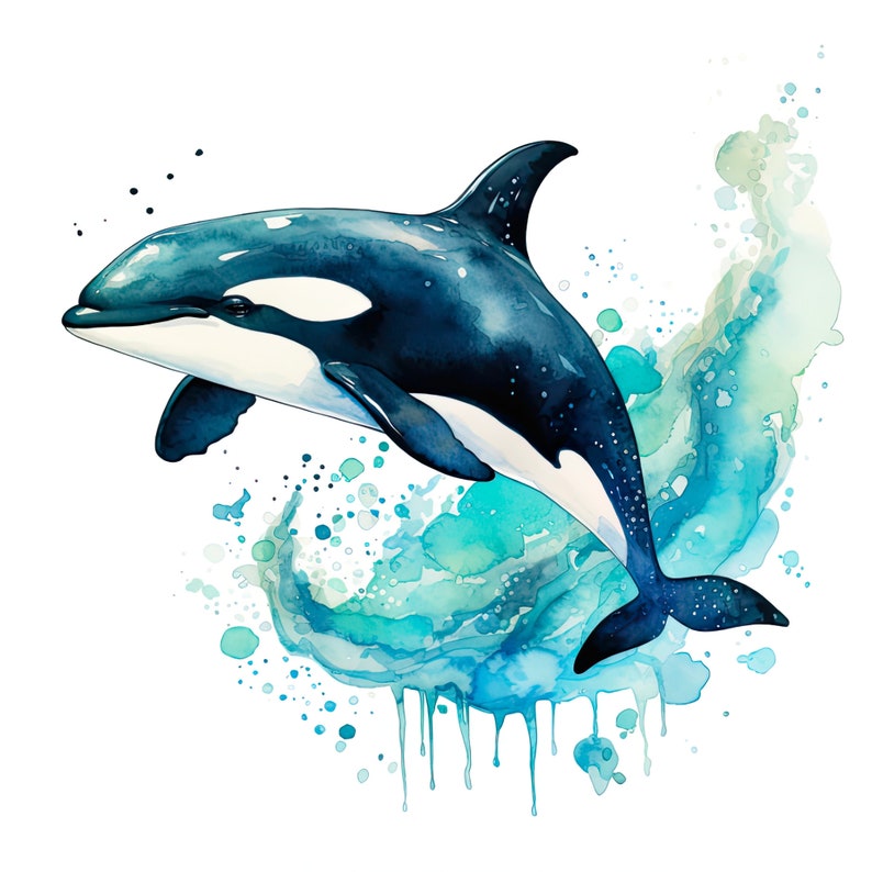 Orca Clipart: Killer Whale, Narwhal & Underwater Watercolor Clipart ...