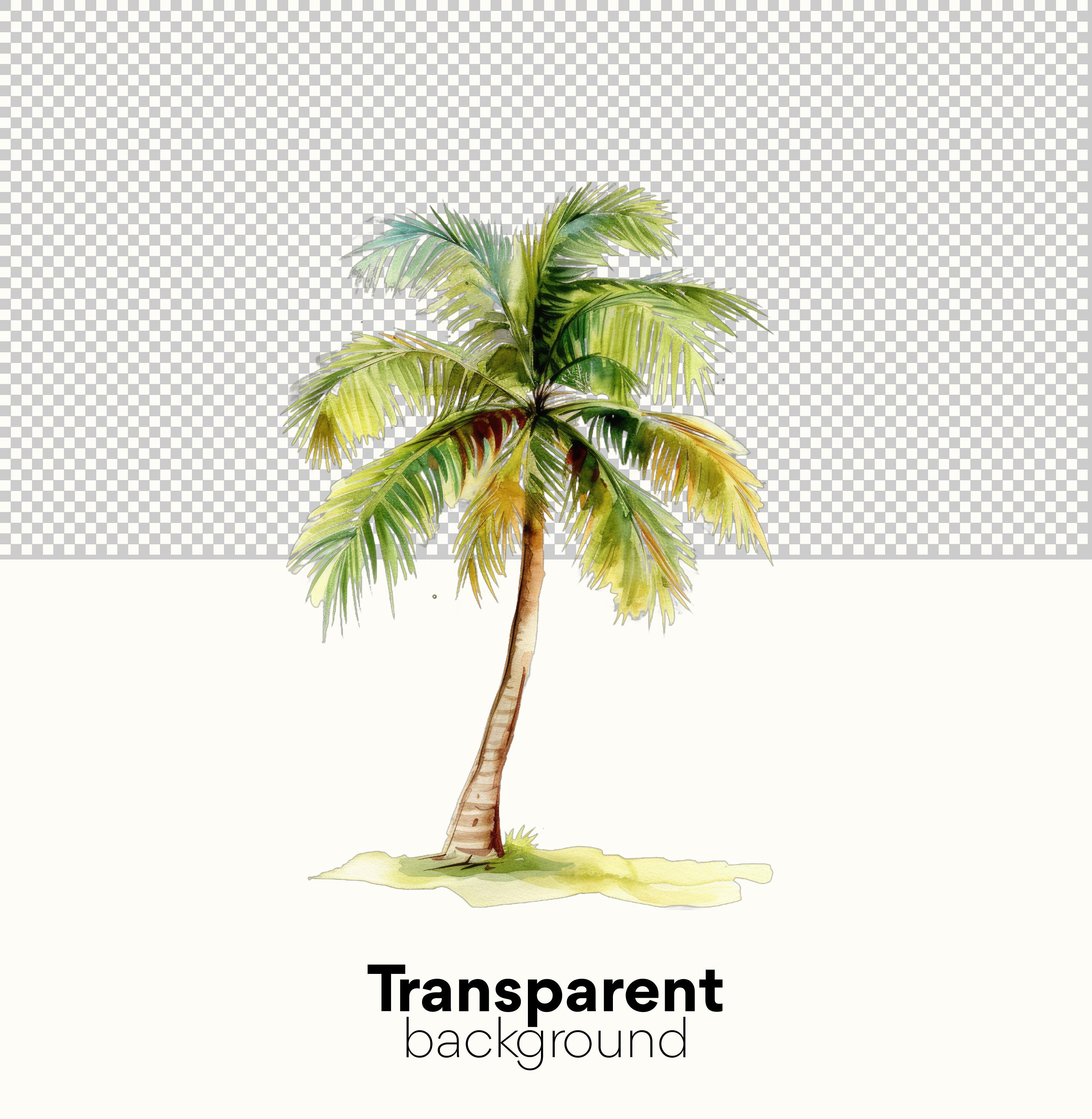 Palm Tree Clipart: Watercolor, Tropical Beach, Digital Download for ...