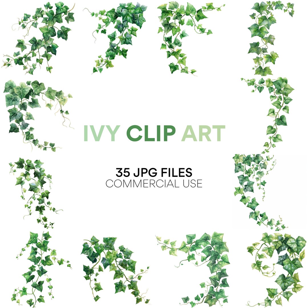 Ivy Clip Art Digital Download: Watercolor Ivy Vines Greenery Clipart ...