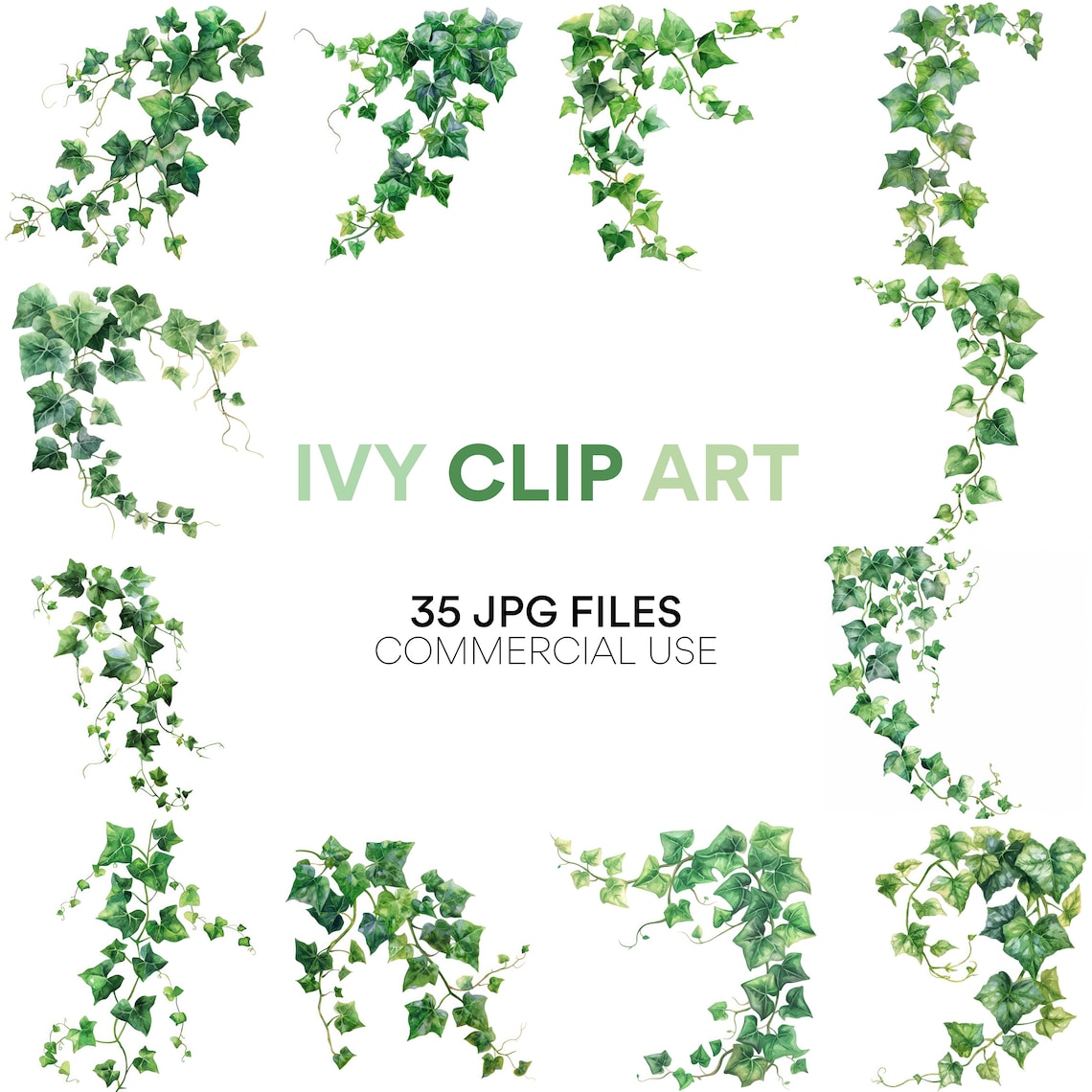 Ivy Clip Art Digital Download: Watercolor Ivy Vines Greenery Clipart ...