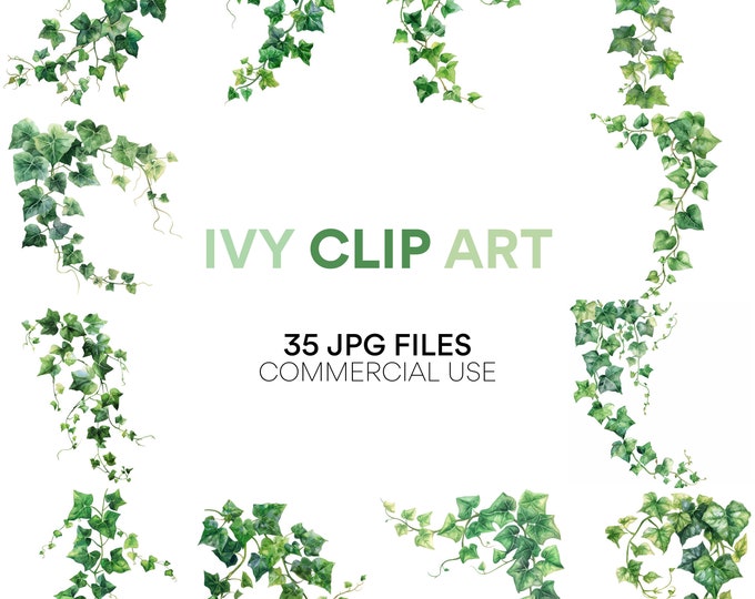 Ivy on a Gate Clipart Bundle 10 High Res Watercolor Jpgs for Junk ...