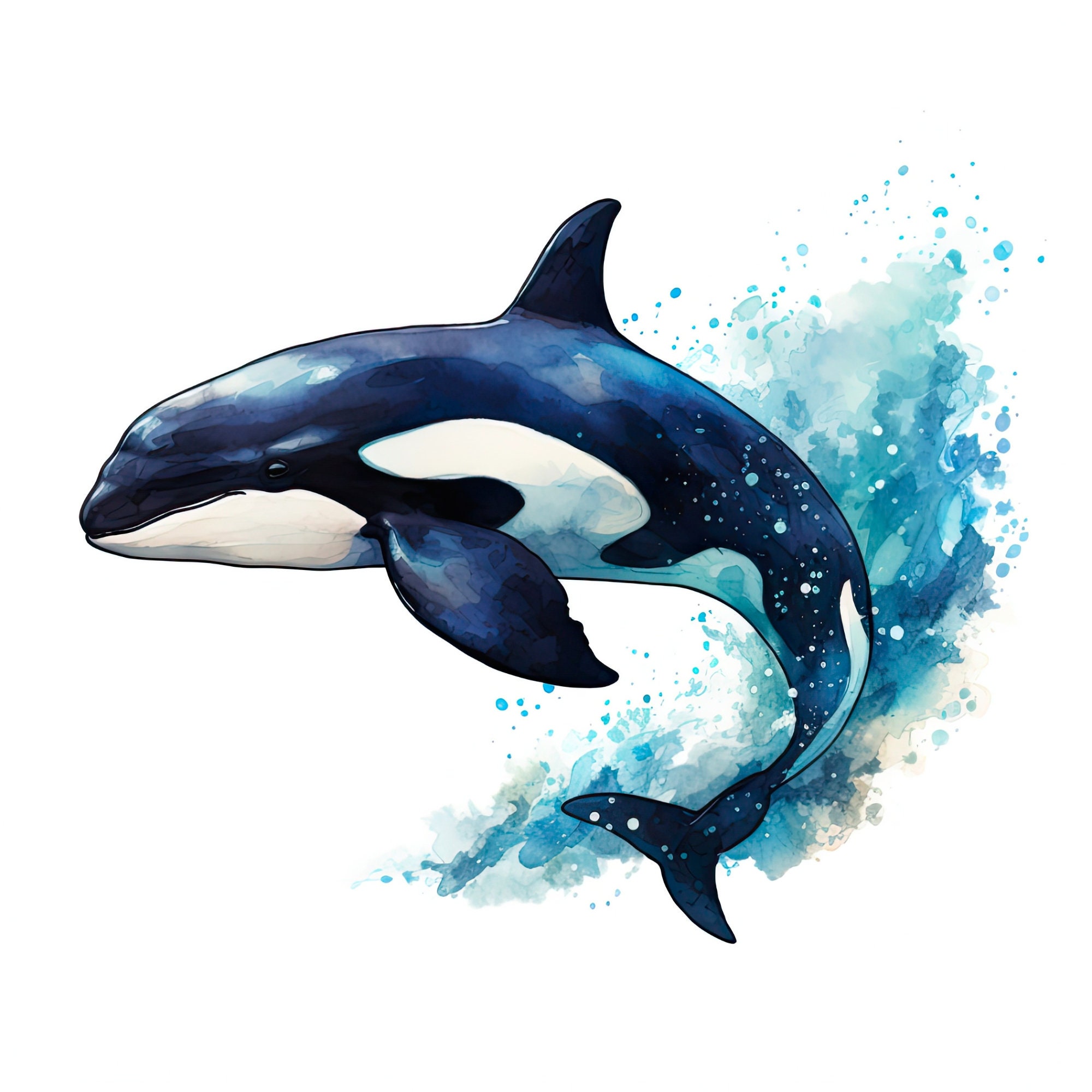 Orca Clipart: Killer Whale, Narwhal & Underwater Watercolor Clipart ...
