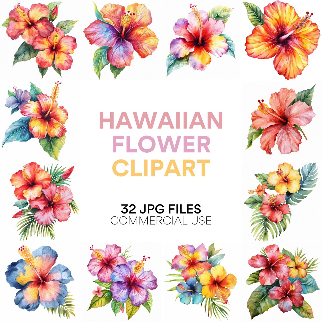 Hawaiian Flower Clipart: Hibiscus Graphics, Luau & Summer Tropical Art ...