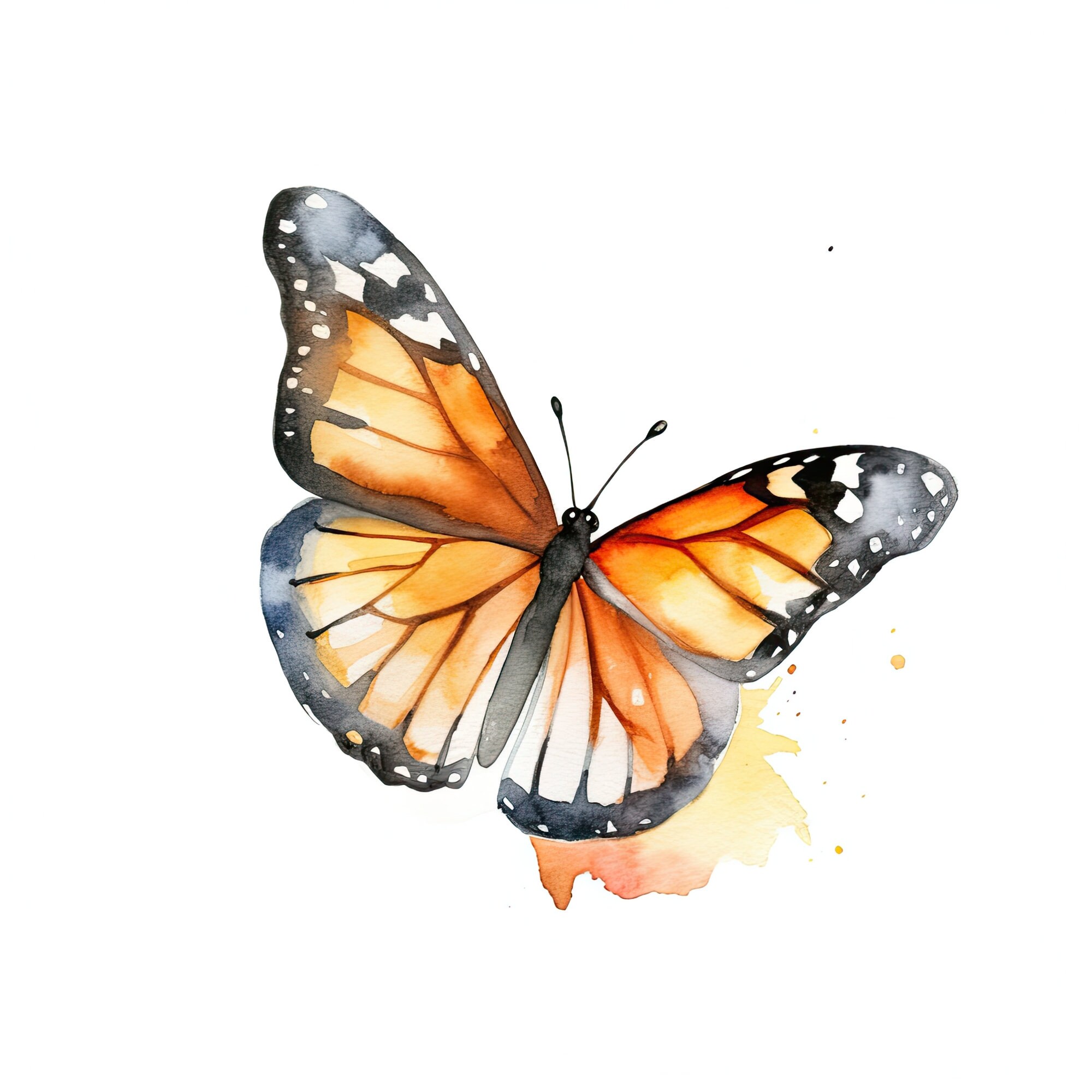 Monarch Butterfly Clip Art 18 High-quality Jpgs - Etsy