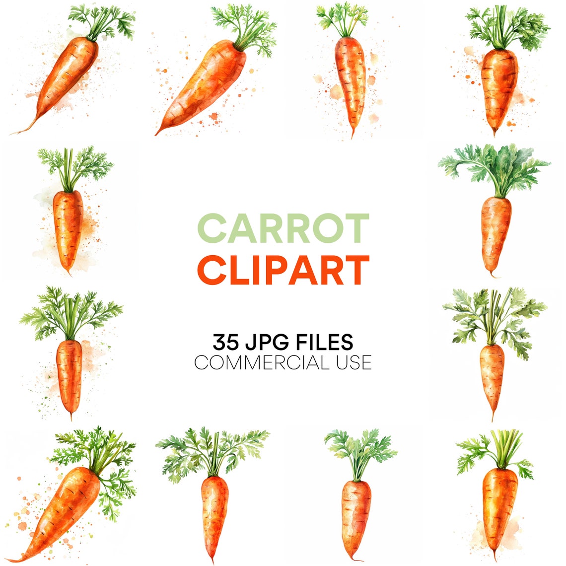 Carrot Clipart: Watercolor Carrot, Commercial Use, Digital Download ...