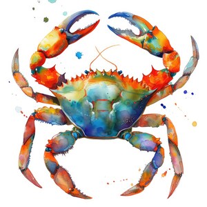 Crab Clipart Digital Download - Commercial Use Sublimation Designs ...
