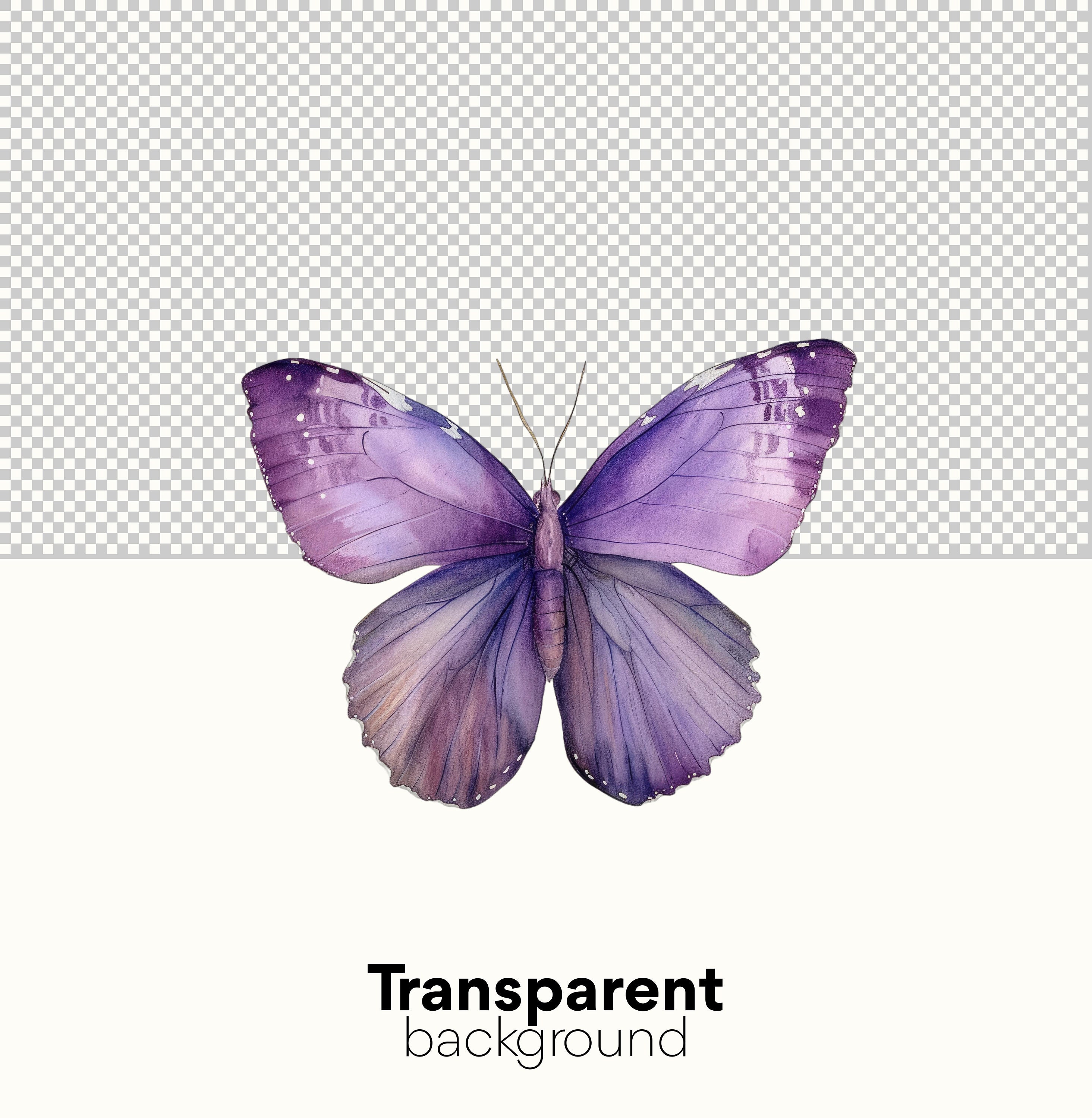 Purple Butterfly Clipart: Watercolor Floral Garden, Spring and Nature ...