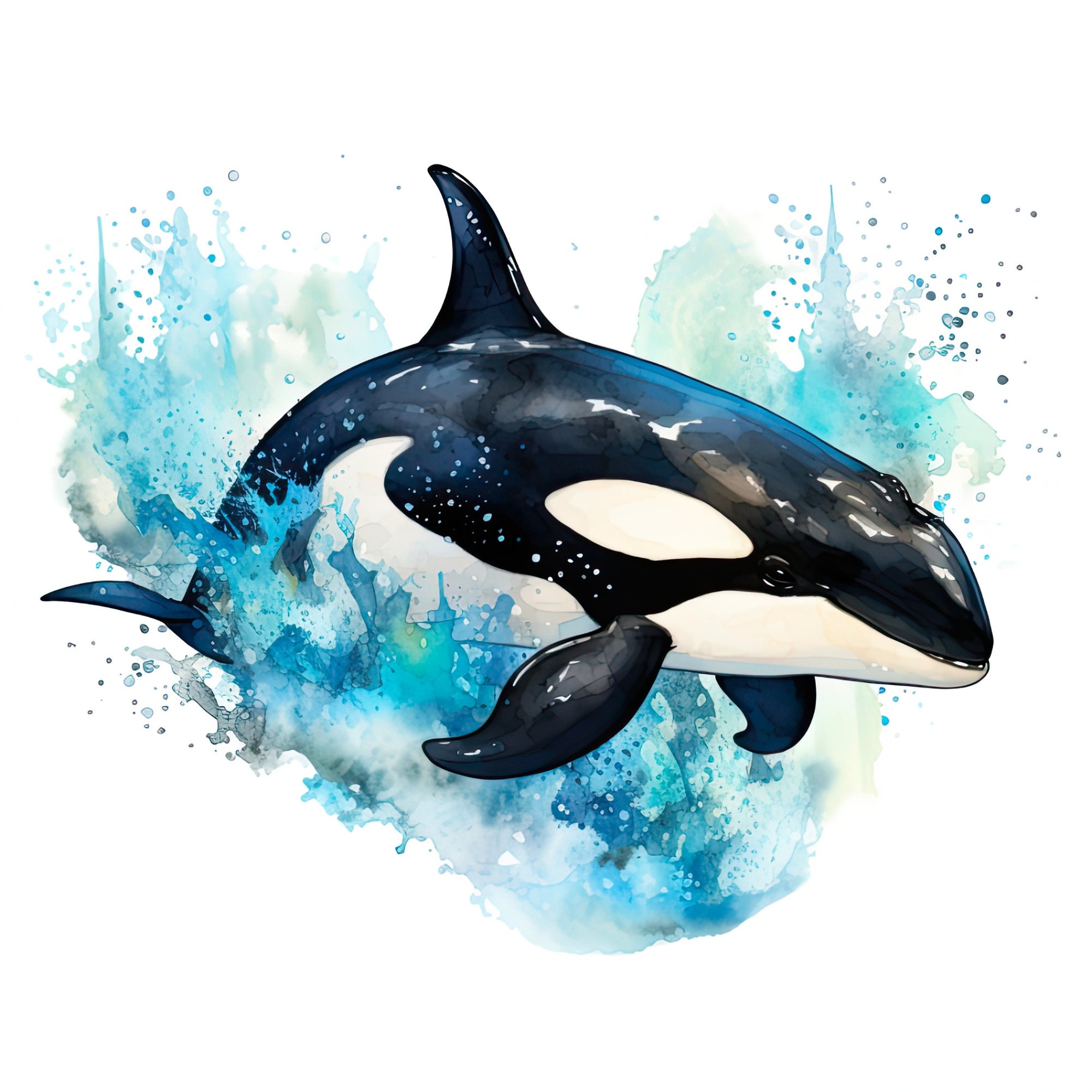 Orca Clipart: Killer Whale, Narwhal & Underwater Watercolor Clipart ...
