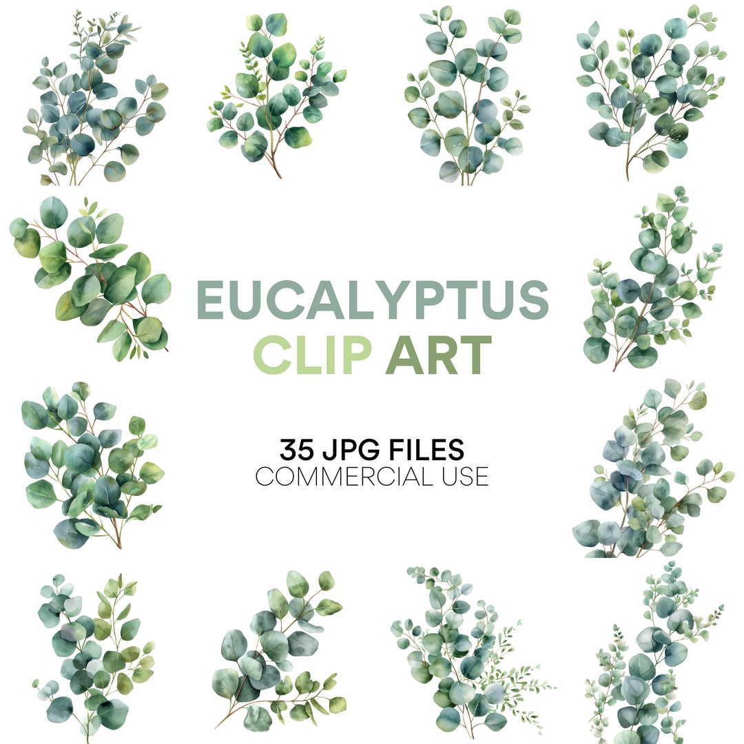 Eucalyptus Clip Art Greenery Watercolor Wedding Invitation, Digital ...