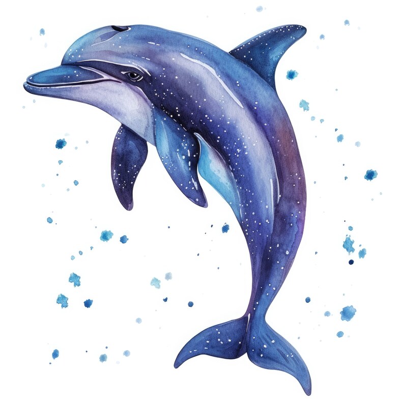 Dolphin Clipart Bundle: Watercolor Dolphin, Ocean Animals Digital ...