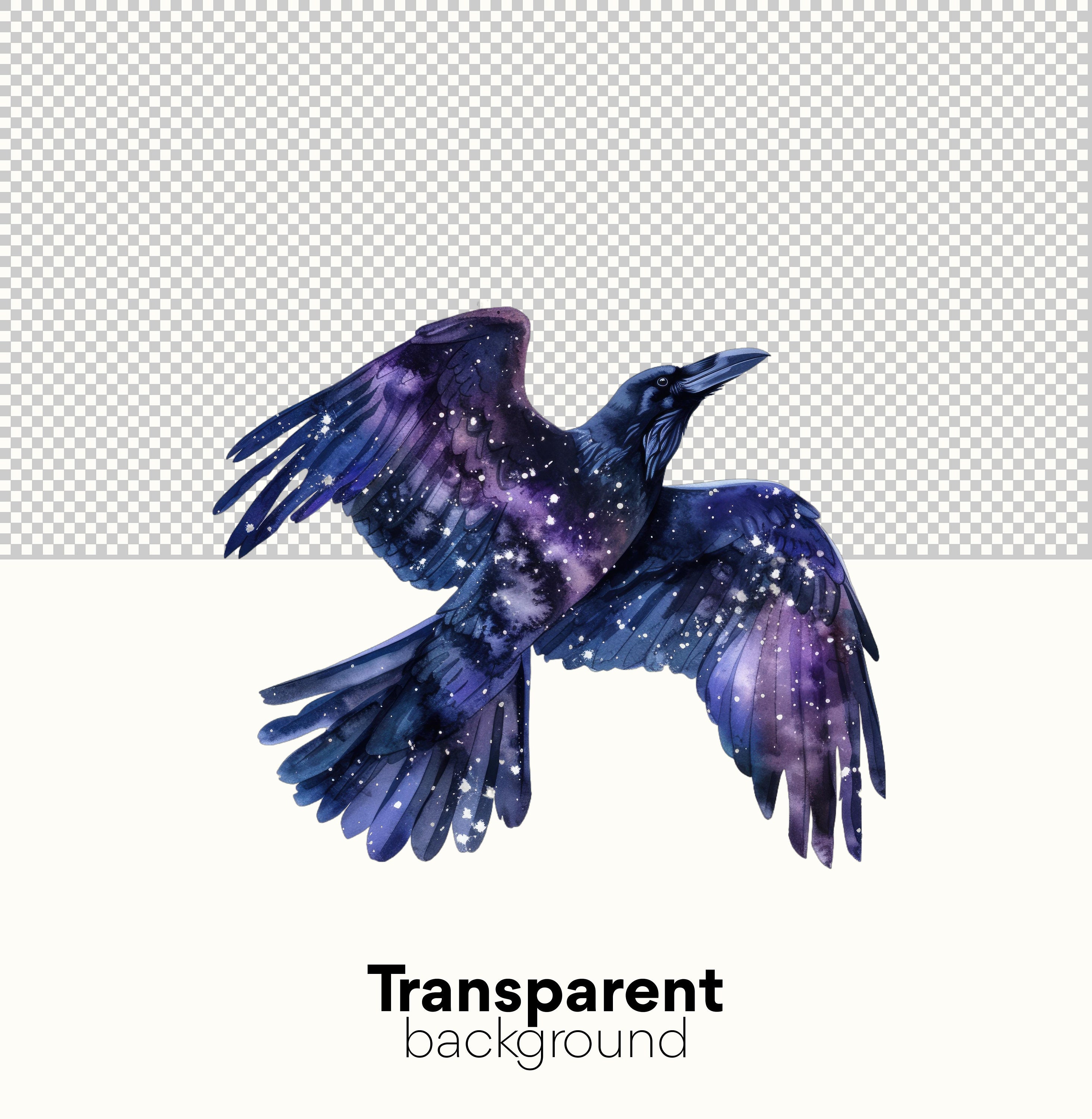 Raven Clipart Bundle: Crow, Halloween & Gothic Raven Art, Commercial ...