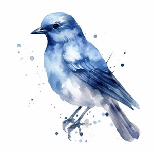 Blue Bird Clip Art, Digital Download, Watercolor Painting, Clipart Pack ...