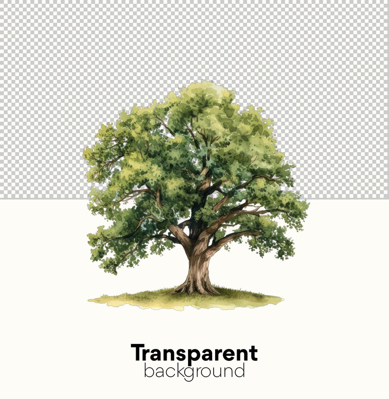Oak Tree Clip Art Watercolor Clipart Digital Download, Clipart Pack for ...