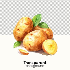 Potato Clipart Pack, Commercial Use Food Clip Art, Watercolor Potato ...