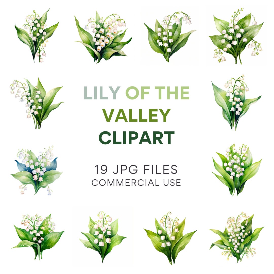 Lily of the Valley Clip Art 19 High-quality Jpgs Watercolor, Digital ...