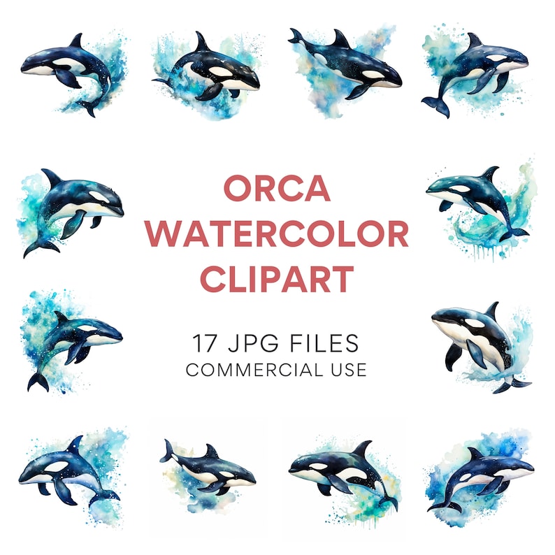 Orca Clipart: Killer Whale, Narwhal & Underwater Watercolor Clipart - Digital Download JPG ...