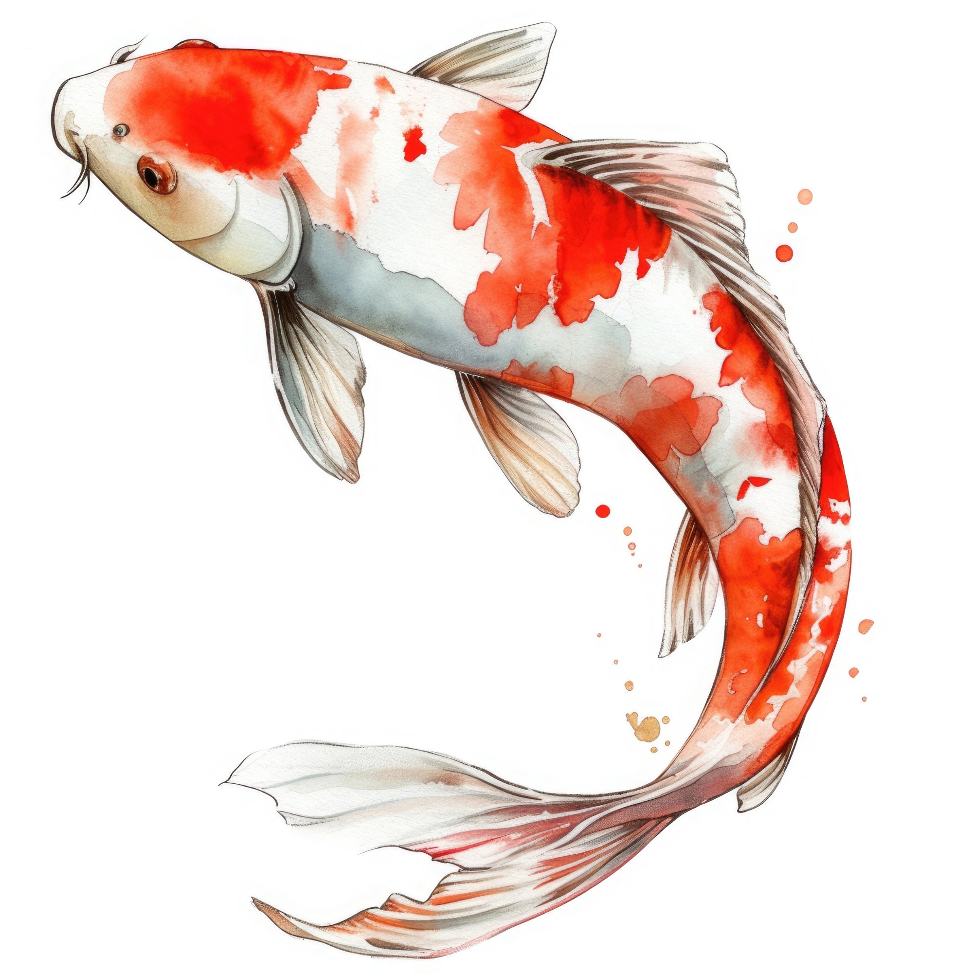 Koi Fish Clipart - Watercolor Japanese Carp Art, Tropical Fish Jpgs ...
