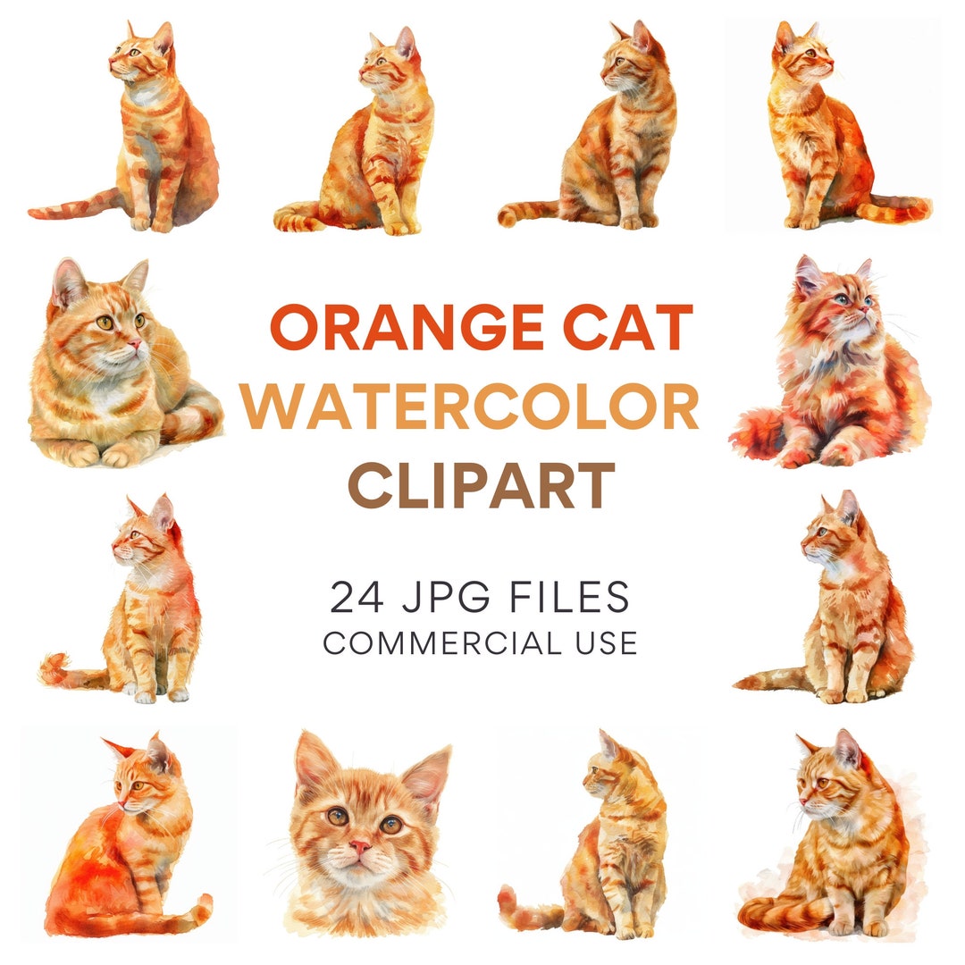 Orange Cat Clipart: Watercolor Kitten, Cat Cliparts Bundle, Commercial ...
