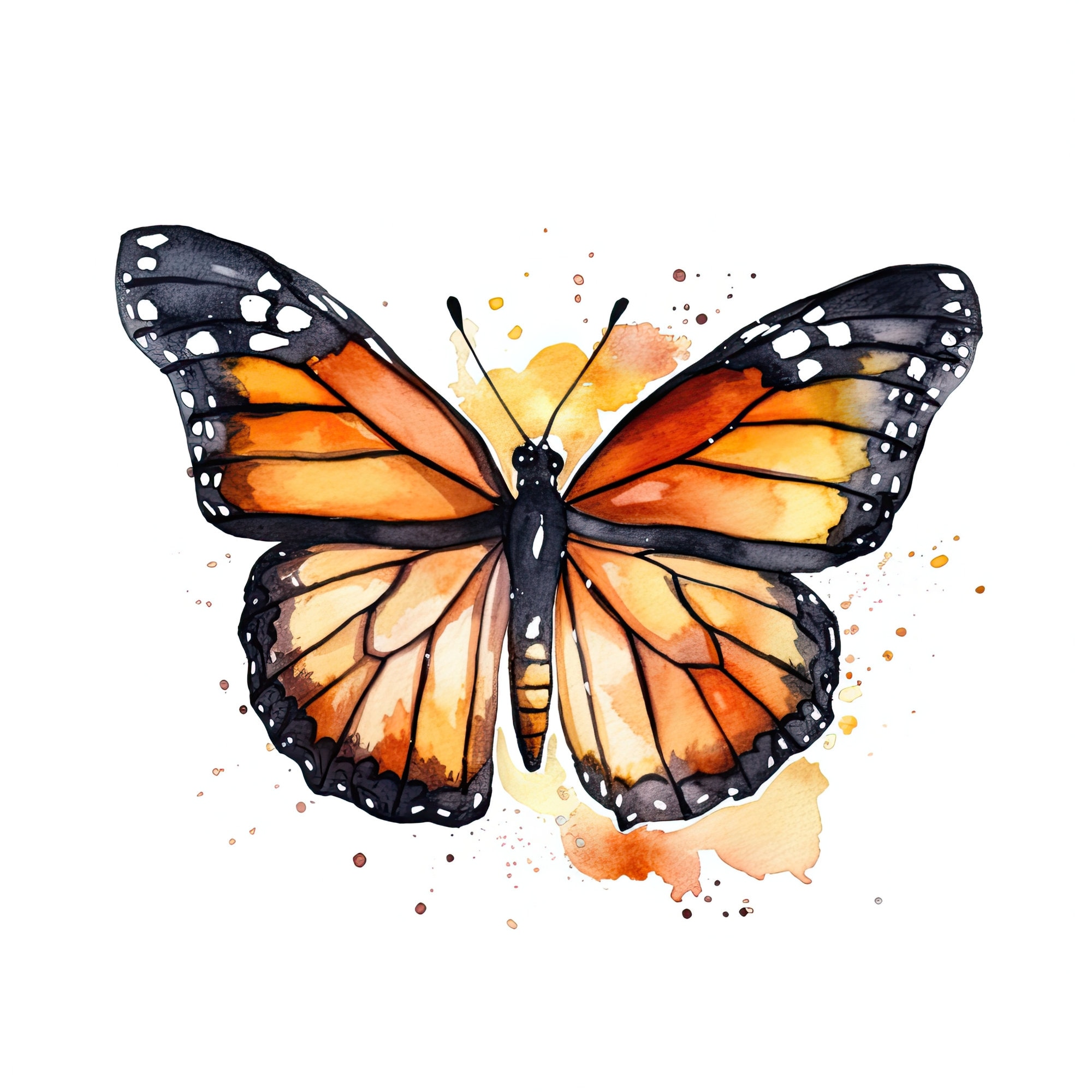 Monarch Butterfly Clip Art | 18 High-quality Jpgs - Watercolor, Digital ...