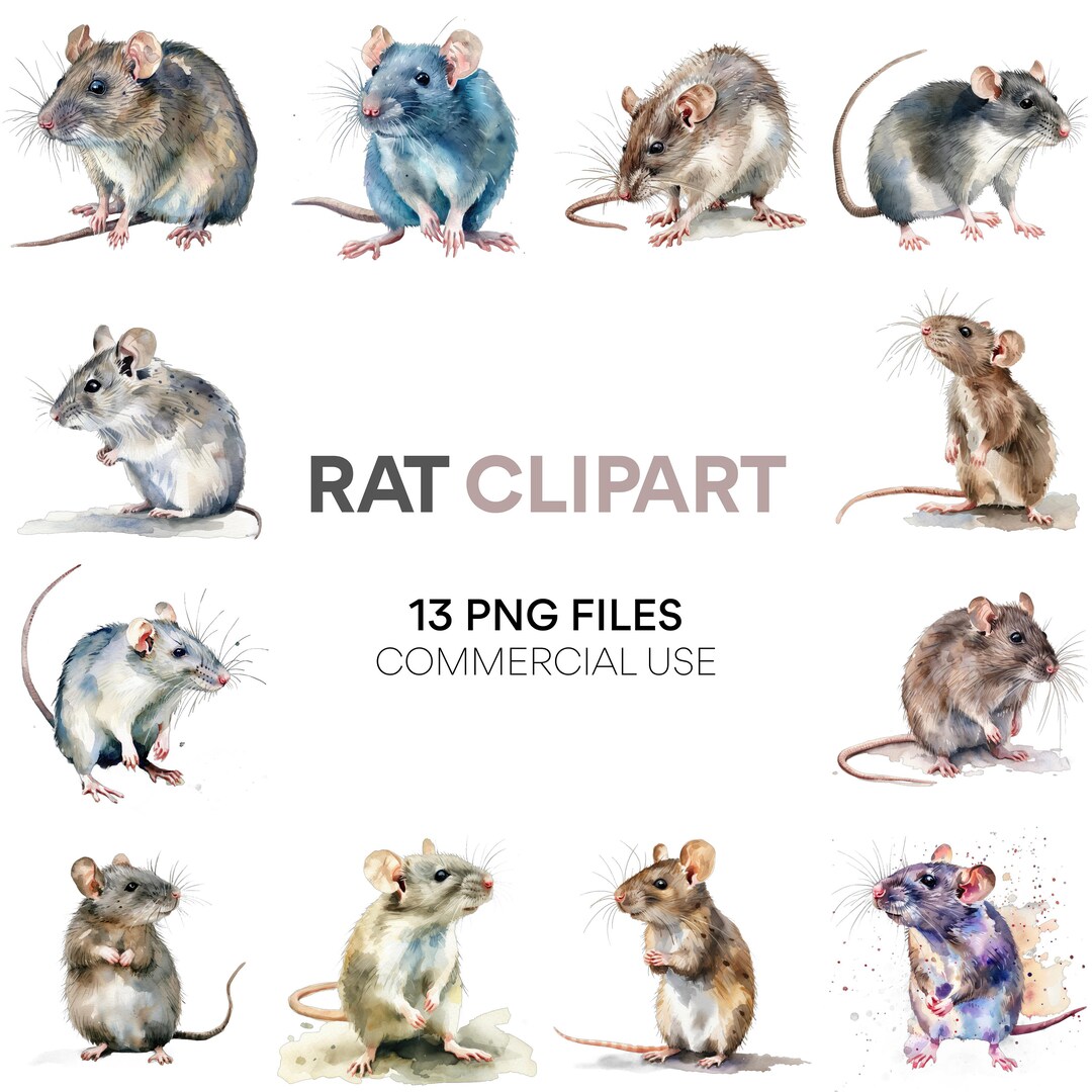 Rat Clipart & Watercolor Rats Bundle: Wall Art Digital Download ...