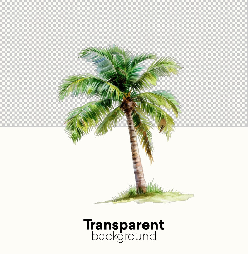 Palm Tree Clipart: Watercolor, Tropical Beach, Digital Download for ...