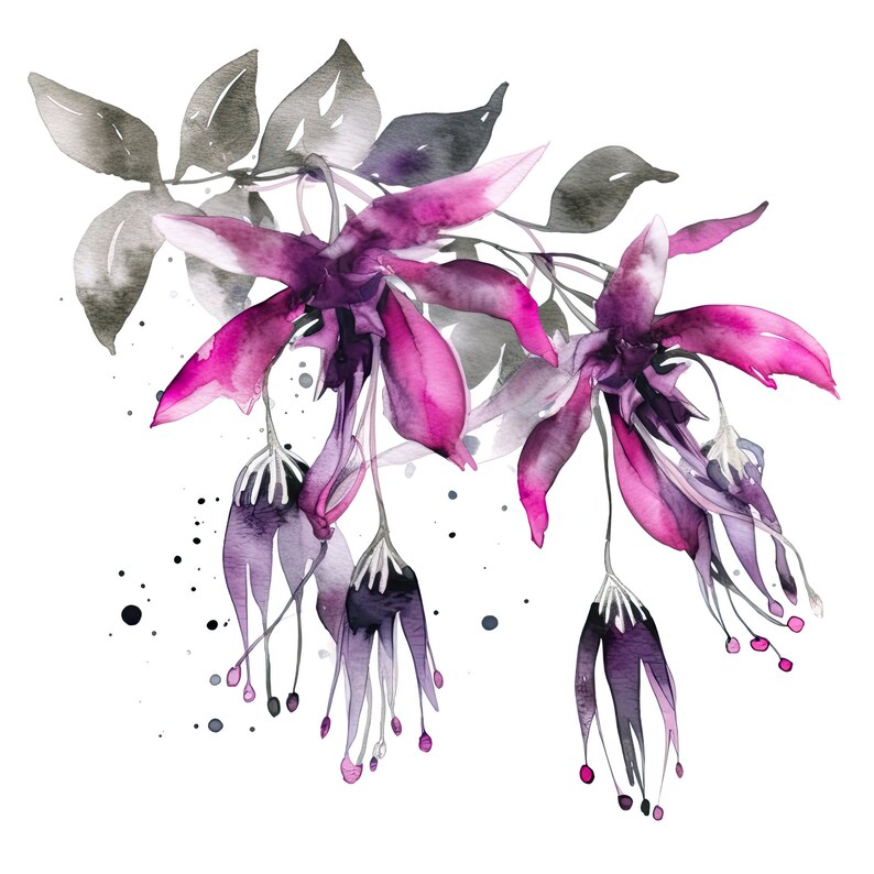 Fuchsia Black & Silver Floral Clipart: Vintage Watercolor Flower ...