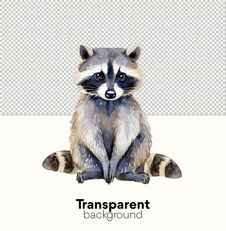 Raccoon Clipart Pack: Watercolor Raccoon PNG Digital Download for ...
