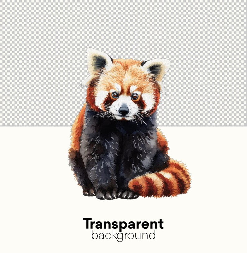 Red Panda Clip Art: Cute Animal Clipart Bundle for Digital Crafting ...