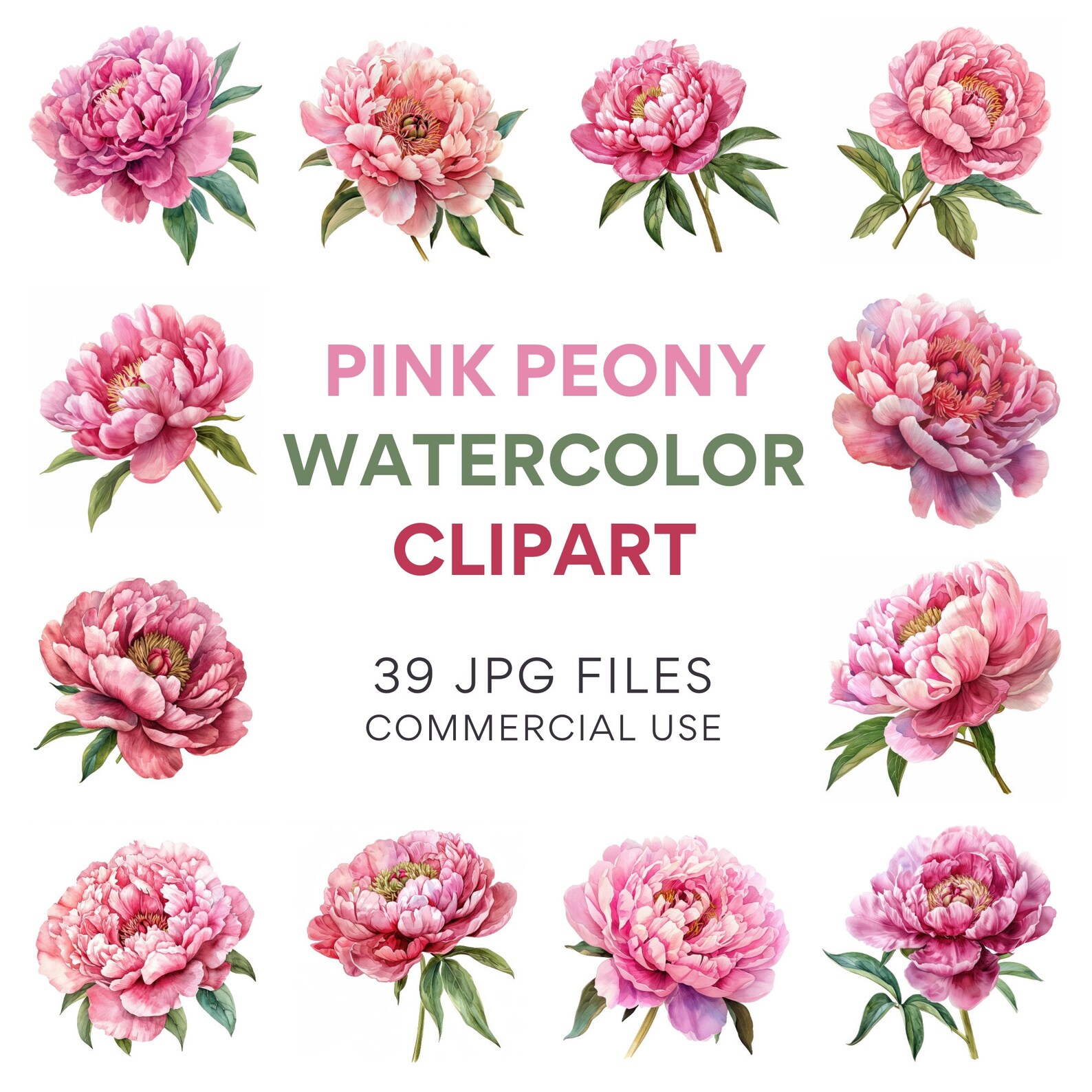 Watercolor Pink Peony Clipart: Boho Peony Floral Watercolor, Flower ...