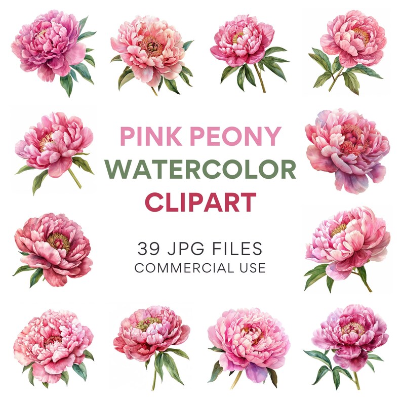 Watercolor Pink Peony Clipart: Boho Peony Floral Watercolor, Flower ...