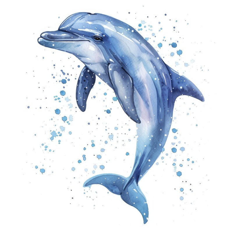 Dolphin Clipart Bundle: Watercolor Dolphin, Ocean Animals Digital ...