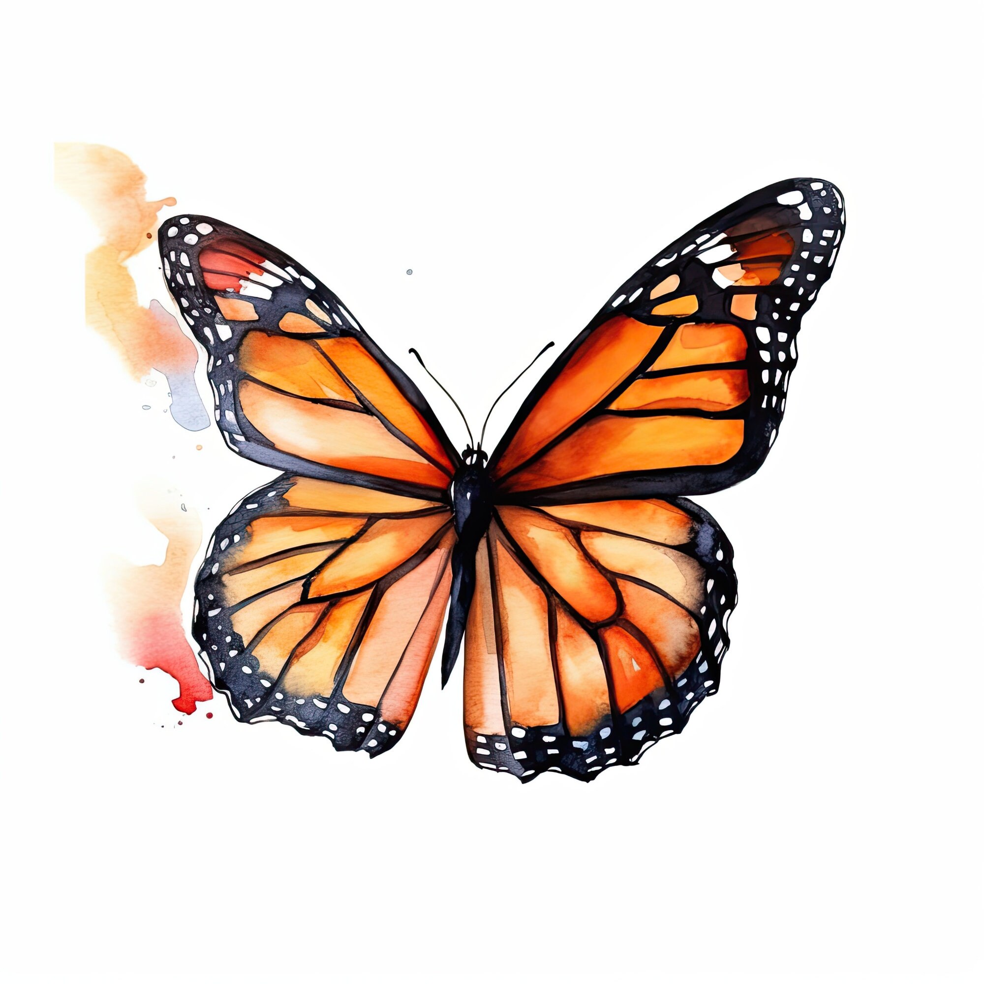 Monarch Butterfly Clip Art 18 High-quality Jpgs - Etsy