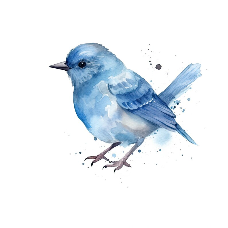 Blue Bird Clip Art, Digital Download, Watercolor Painting, Clipart Pack ...